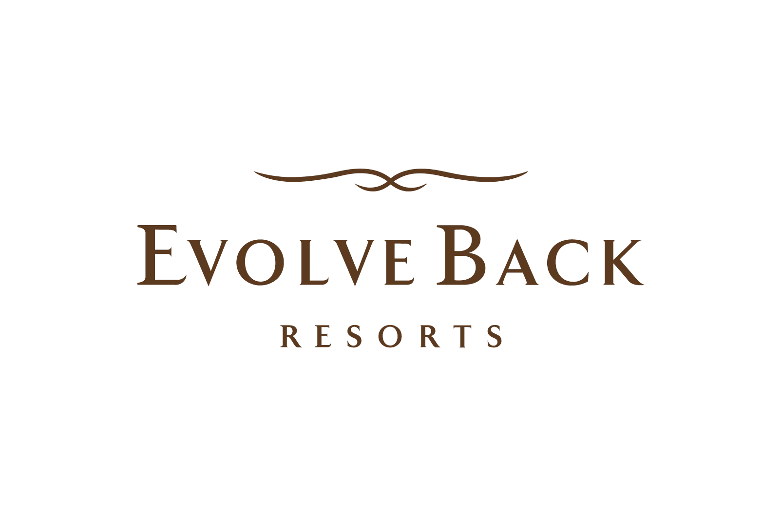 Pocket HRMS enhanced Evolve Back’s Employee Management with Modern HRMS