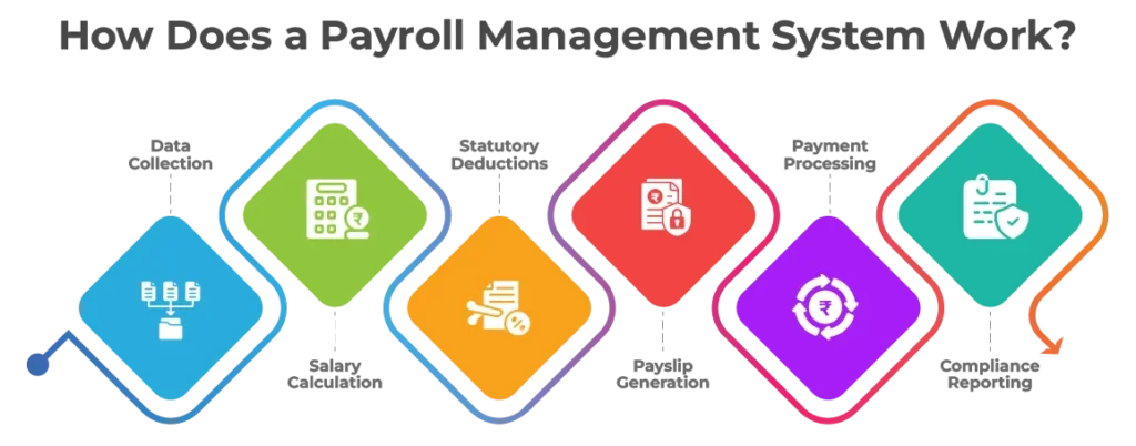 What is Payroll Management System? Features, & Benefits