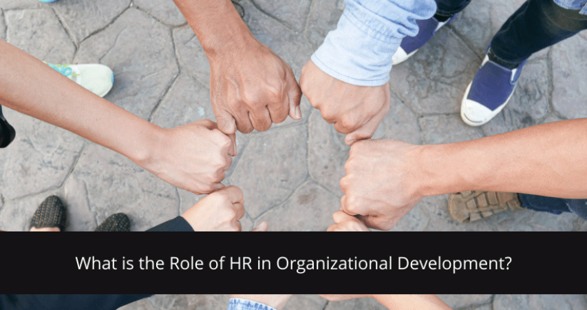What is the Role of HR in Organizational Development?